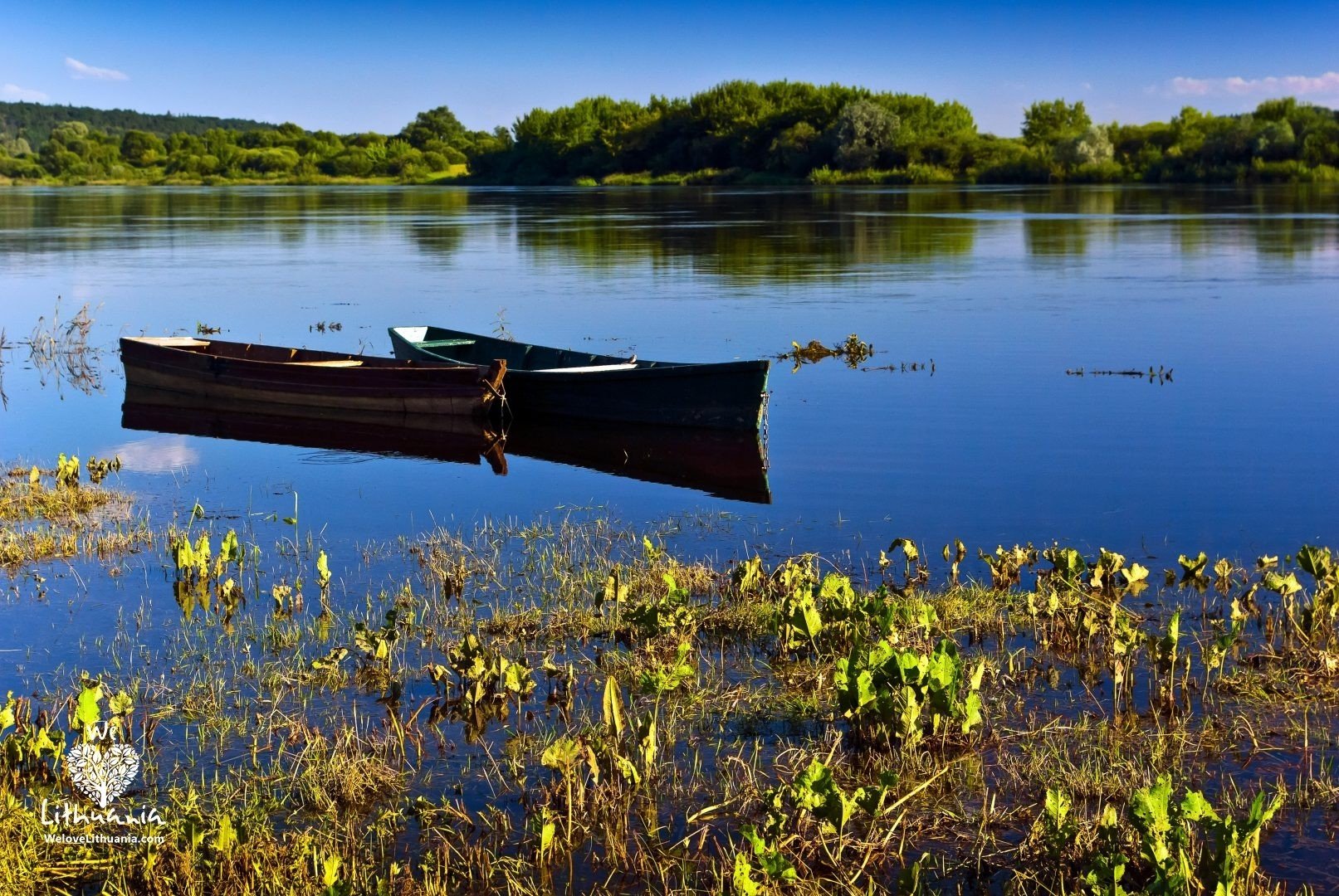 Patvinęs Nemunas | We love Lithuania