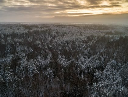 Ankstyvas žiemos rytas Vilniuje | We love Lithuania