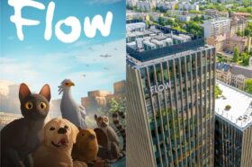 Kas yra NPD ir kada geriau jį taikyti, o kada ne?