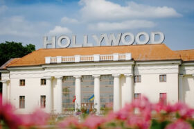 Kas yra NPD ir kada geriau jį taikyti, o kada ne?