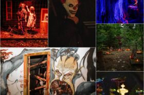 Kas yra NPD ir kada geriau jį taikyti, o kada ne?